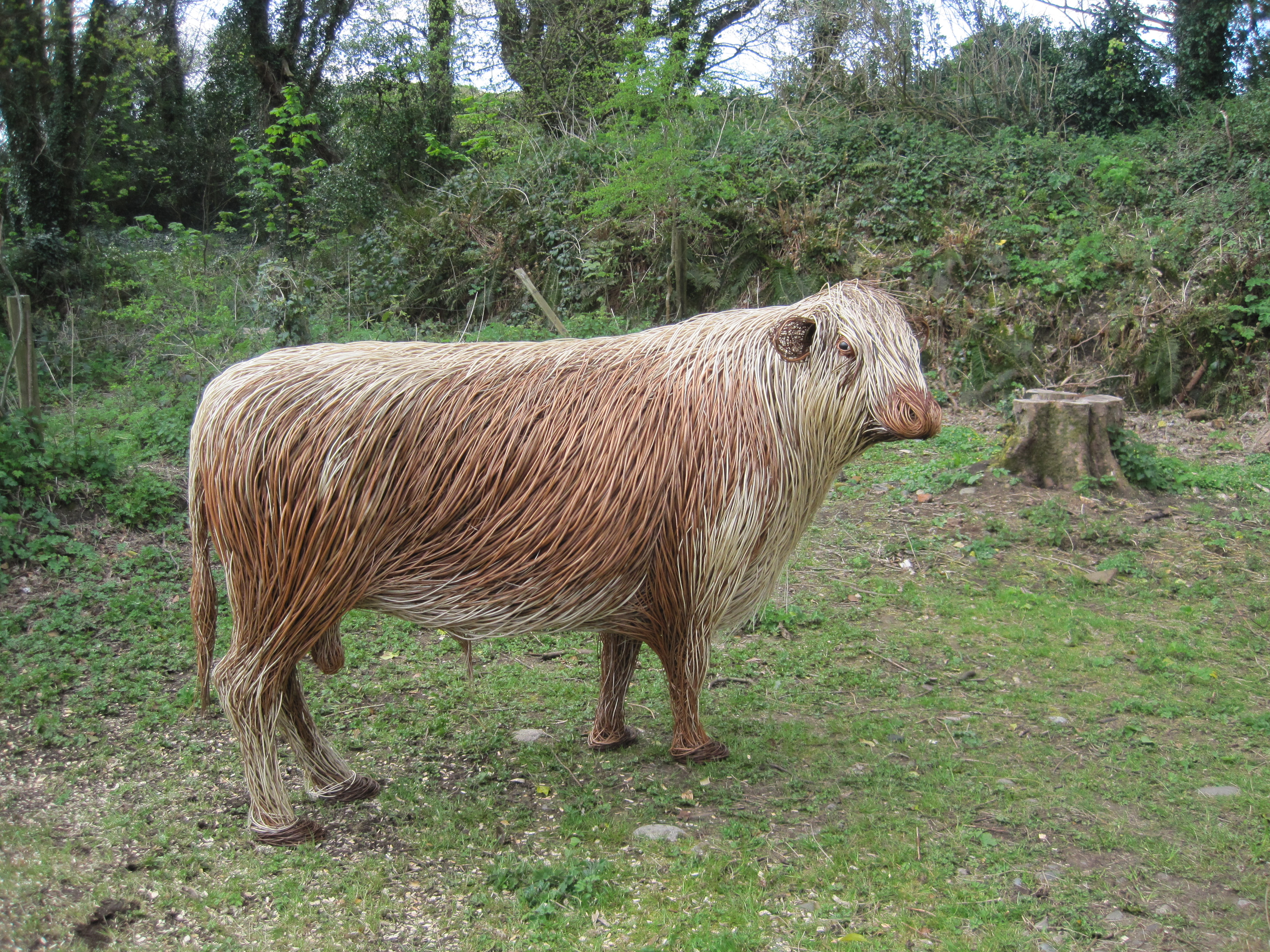 Willow Sculpture - Bob Johnston Baskets